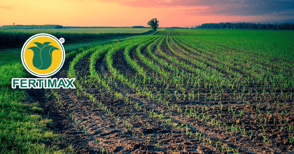 Fertimax la opción para nutrir tus cultivos - Citricos